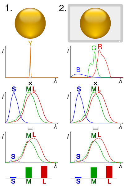 ملف:Metamerism spectrum example.svg - المعرفة