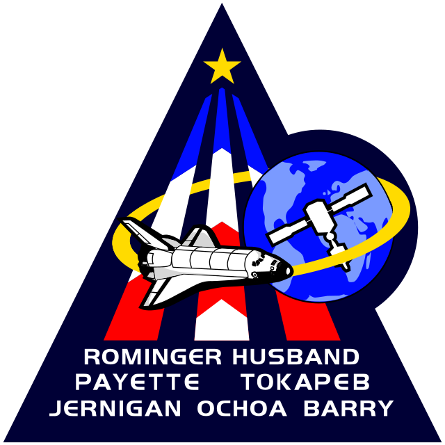ملف:Sts-96-patch.svg - المعرفة