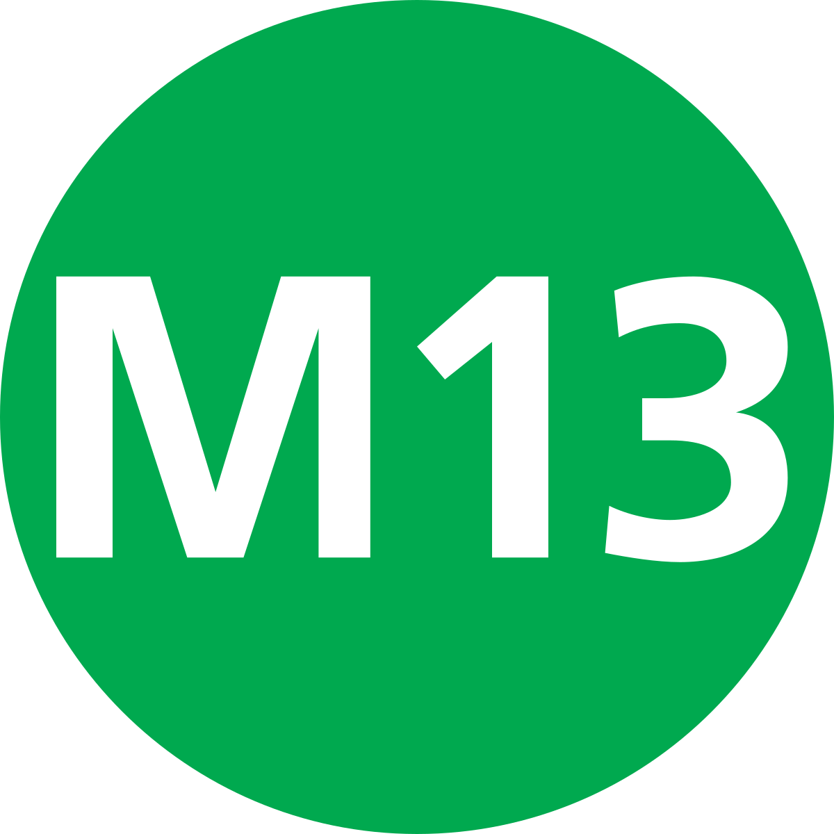 ملف:Istanbul M13 Line Symbol.svg - المعرفة