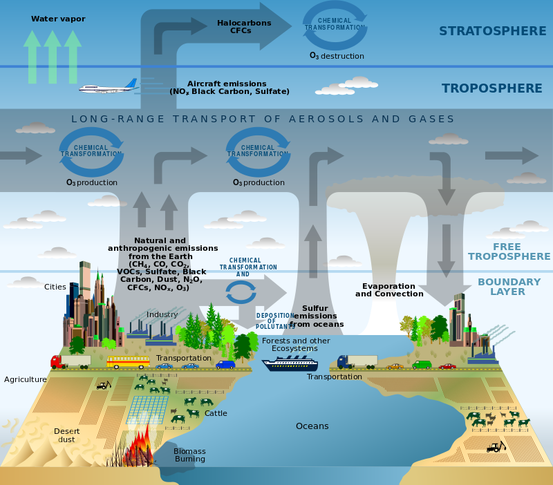 ملف:Atmosphere composition diagram-en.svg - المعرفة