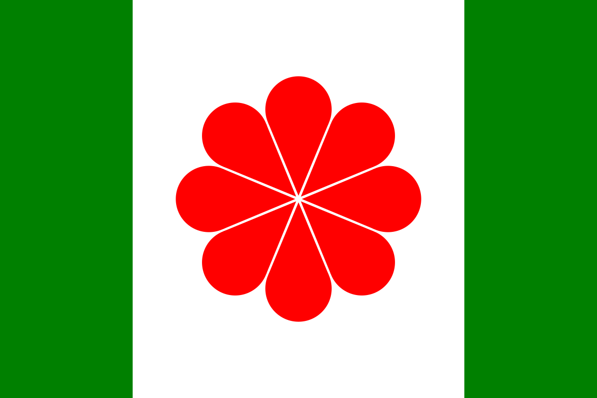 ملف:Flag of ROC.svg - المعرفة