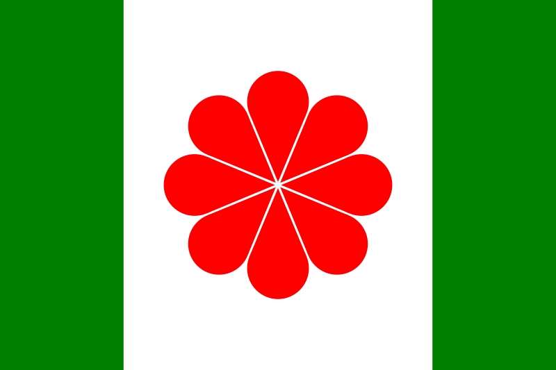 ملف:Flag of ROC.svg - المعرفة