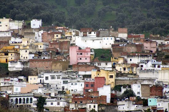 وزان - المعرفة