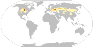تربة القطن السوداء - المعرفة