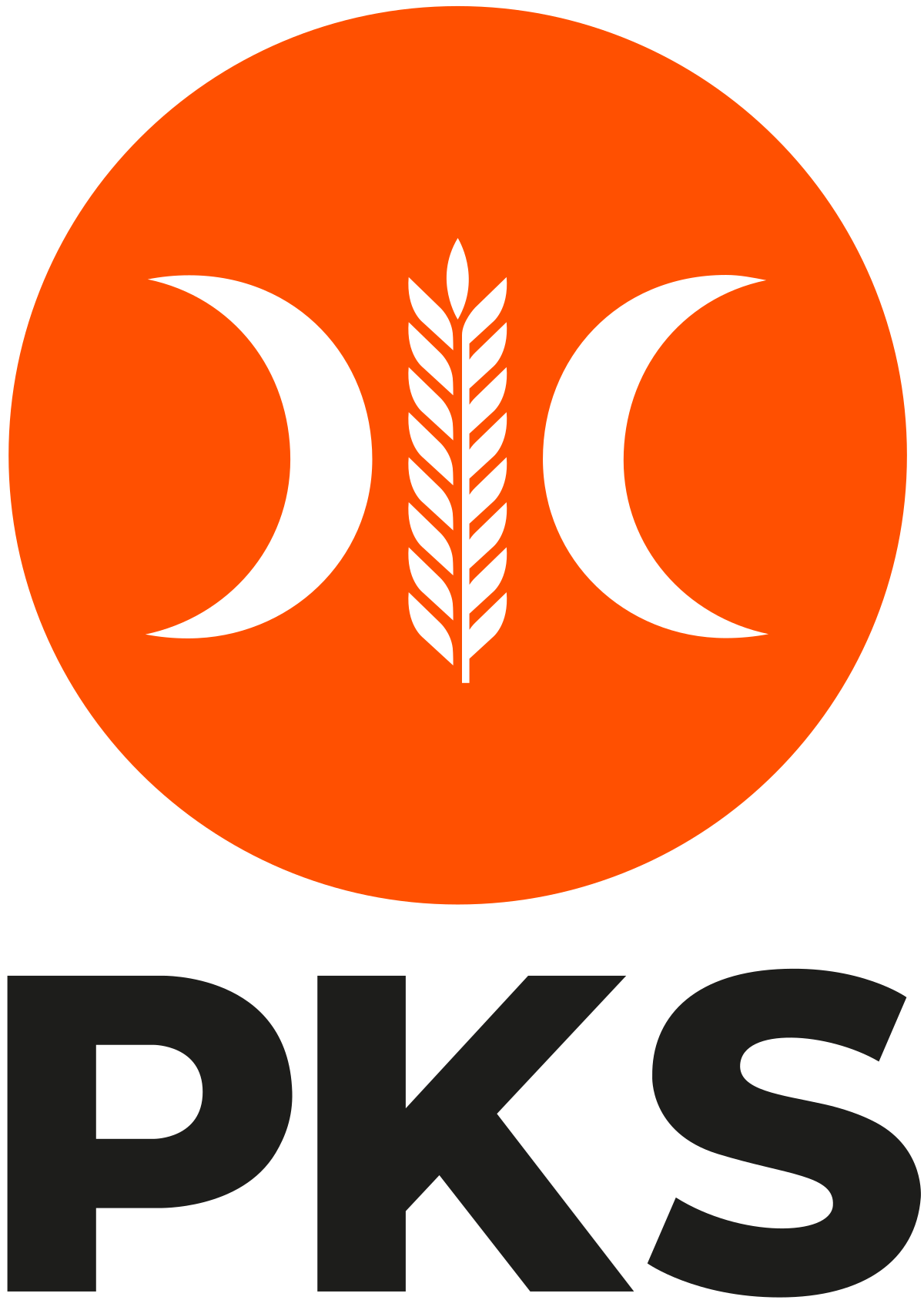 ملف:PKS logo 2020.svg - المعرفة