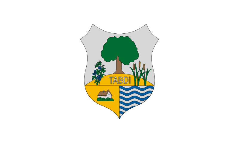 ملف:Flag of Tabdi.svg - المعرفة