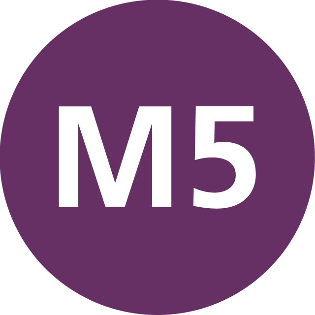 ملف:Istanbul M5 Line Symbol.svg - المعرفة