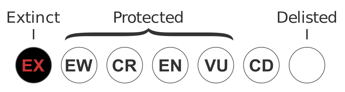 ملف:Status EPBC EX.svg - المعرفة