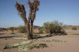 دوم - المعرفة