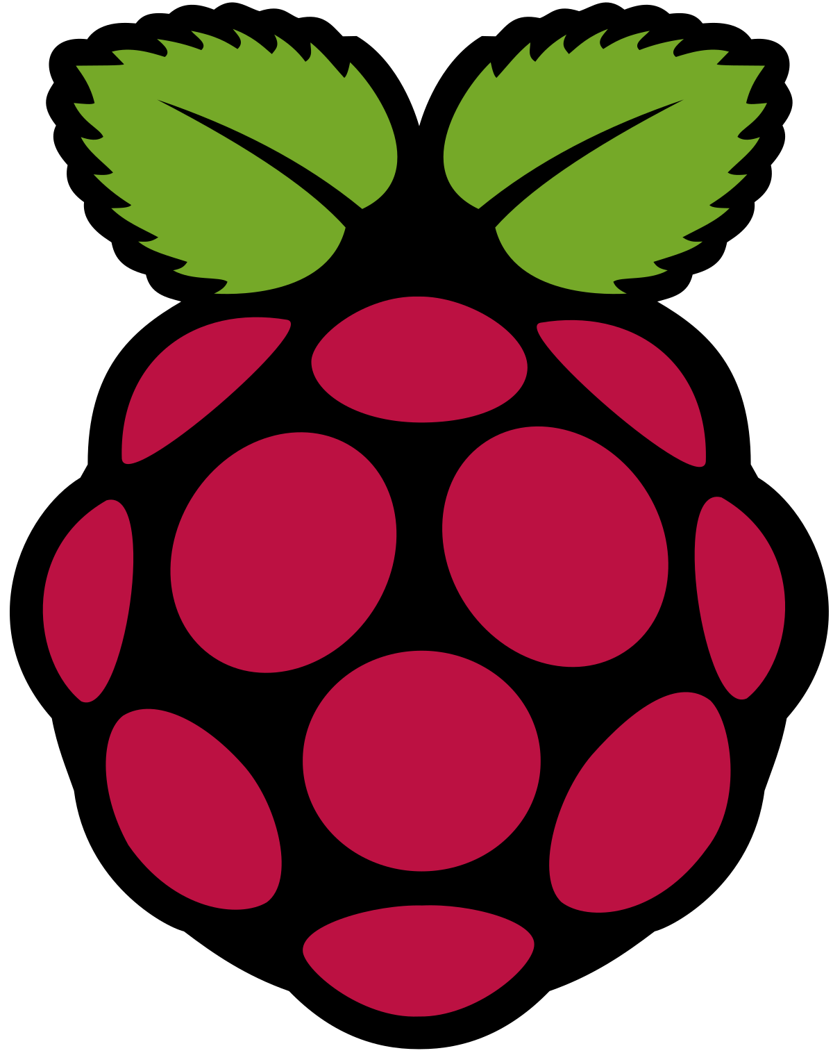 ملف:Raspberry Pi Logo.svg - المعرفة
