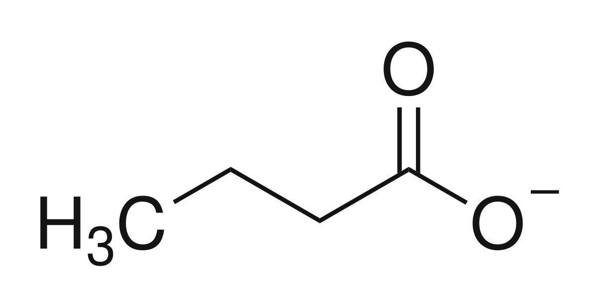 ملف:Butyrate-ion-2D-structure.svg - المعرفة