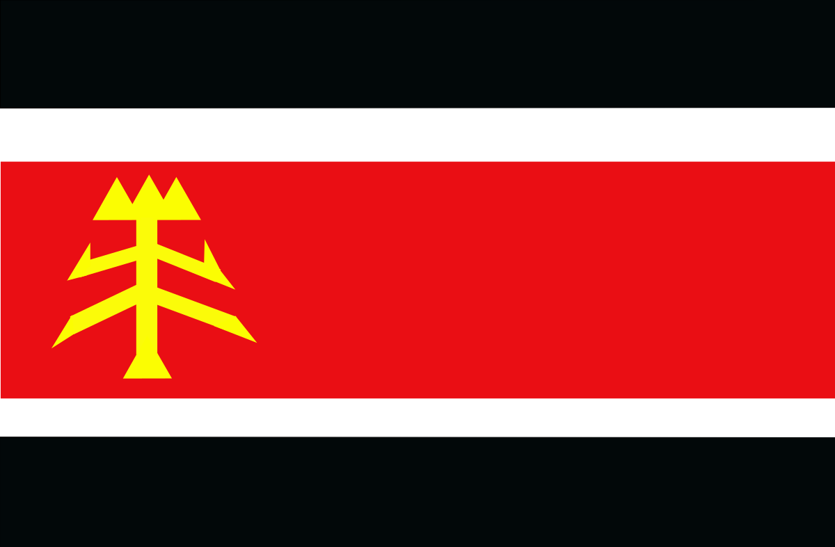 ملف:Bandera del MIM.svg - المعرفة
