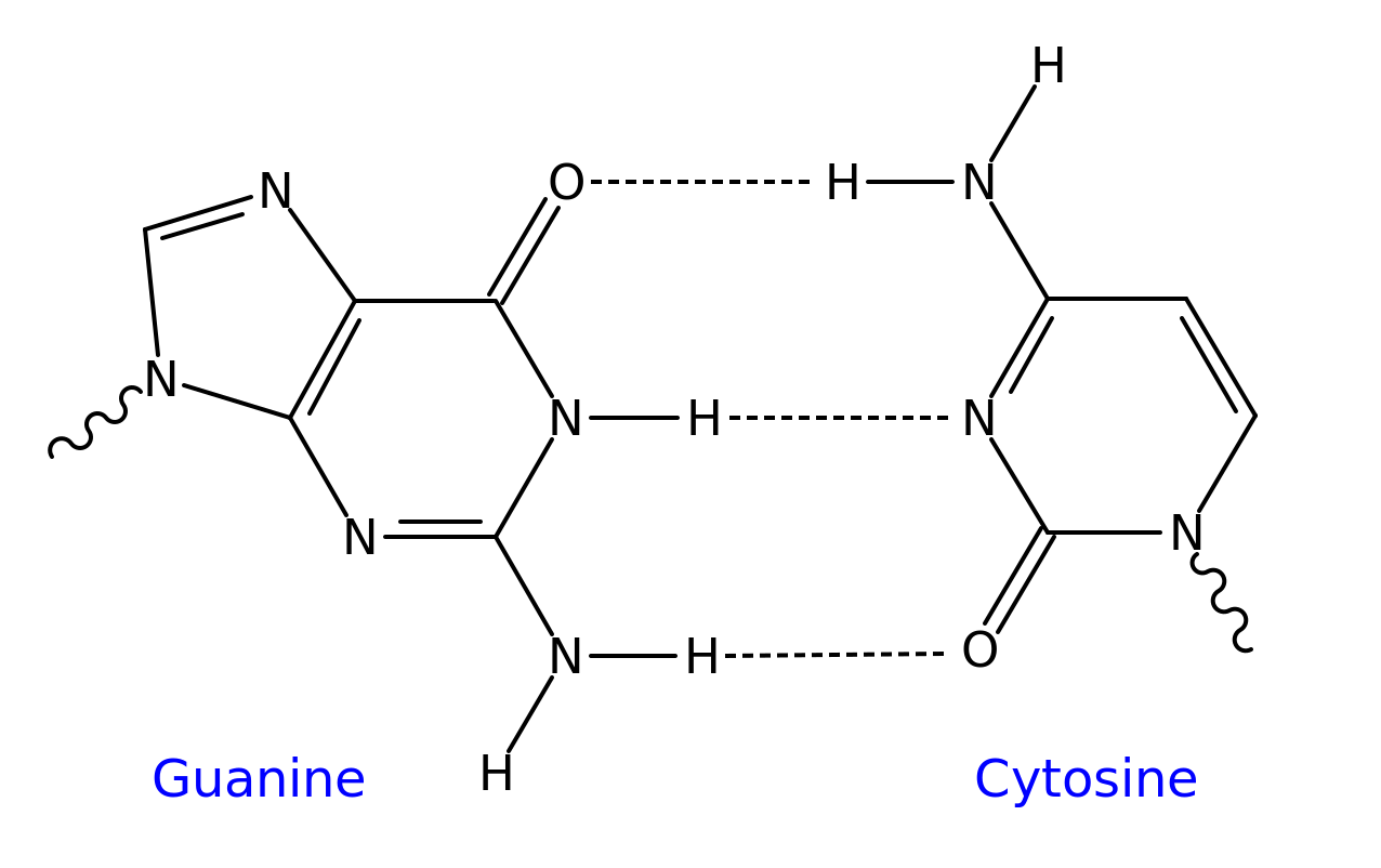  GC DNA Base Pair svg 