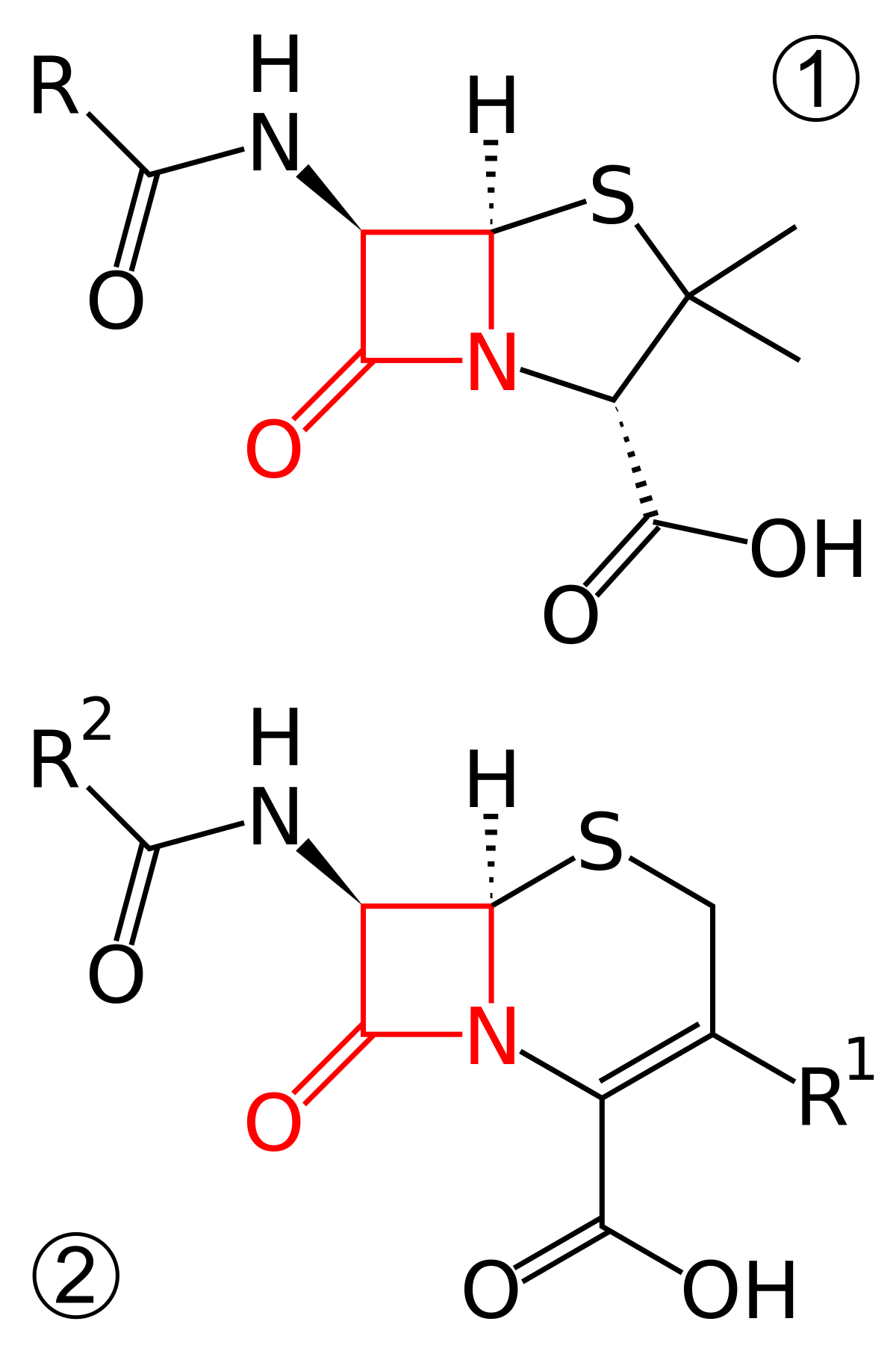 ملف:Beta-lactam antibiotics example 1.svg - المعرفة