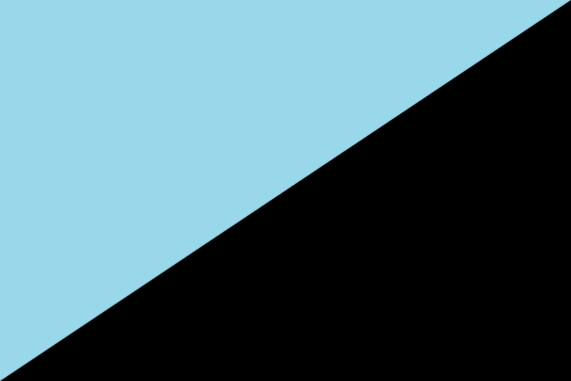 ملف:Individualist anarchism flag.svg - المعرفة