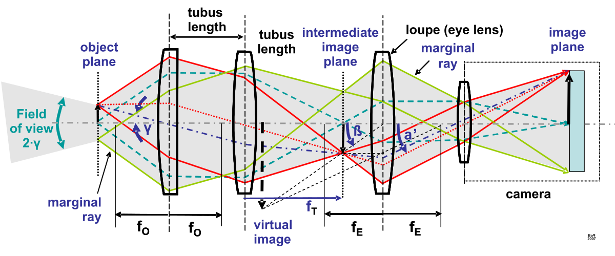 ملف:Microscope-optical path.svg - المعرفة