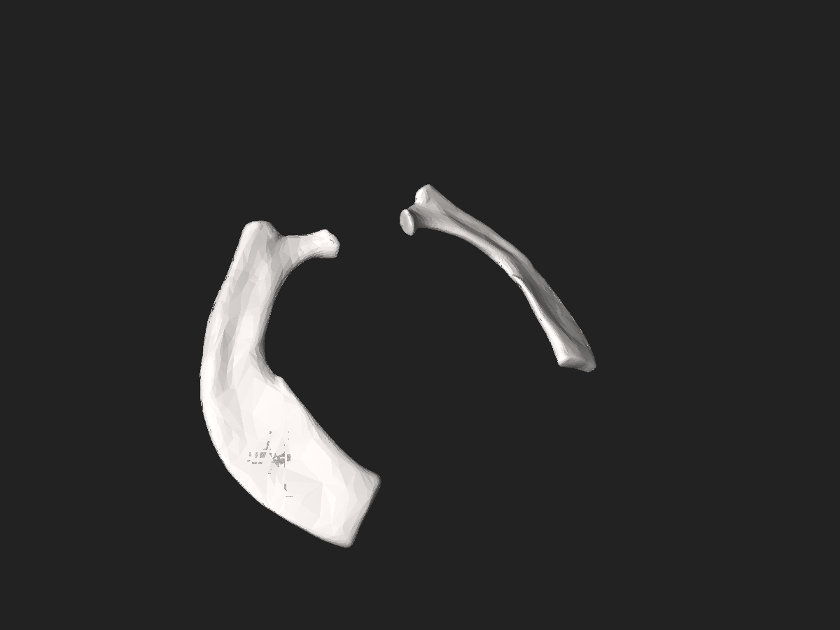 ملف:BodyParts3D First rib.stl - المعرفة