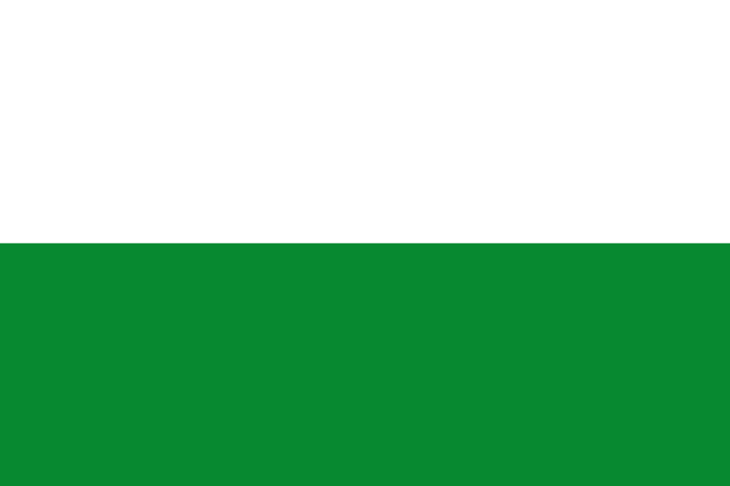 ملف:Flag of Styria.svg - المعرفة