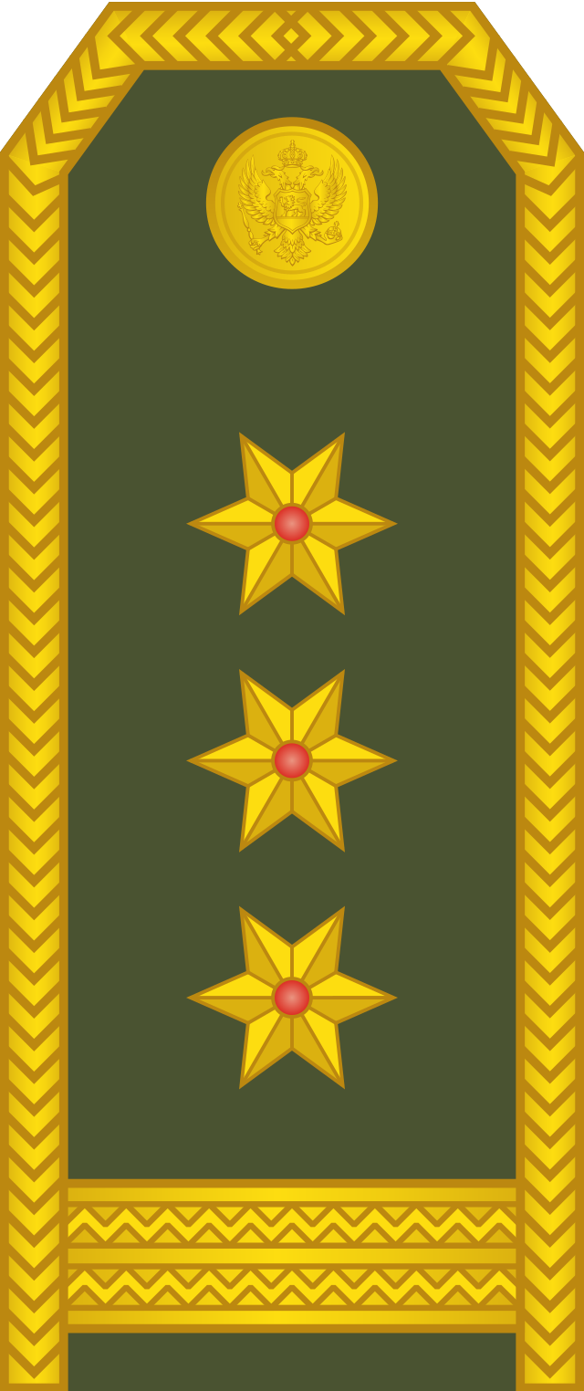 ملف:15-Montenegro Army-COL.svg - المعرفة