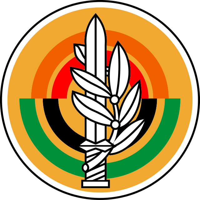 ملف:Mazi IDF Symbol.svg - المعرفة