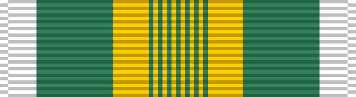 ملف:Vietnam Military Merit Ribbon.svg - المعرفة