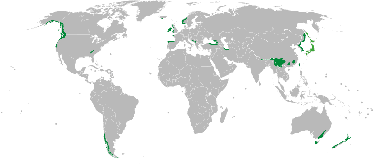 ملف:Temperate rainforest map.svg - المعرفة